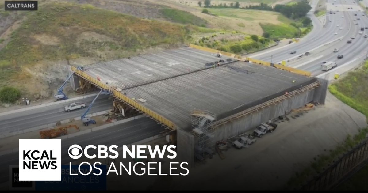 Wallis Annenberg Wildlife Crossing begins to take shape over 101 ...