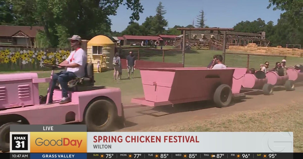 Fog Willow Farm in Wilton presents their Spring Chicken Festival ...