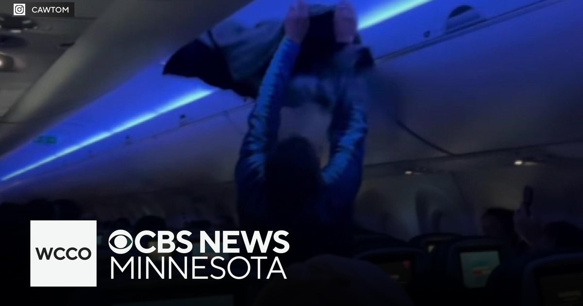 Pigeons seeking free ride delay Delta flight - CBS Minnesota