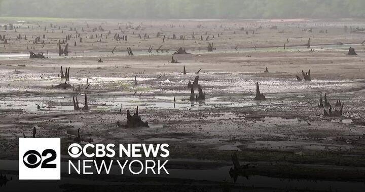 Debate swirls over proposed reconstruction of Suffolk County dam - CBS ...