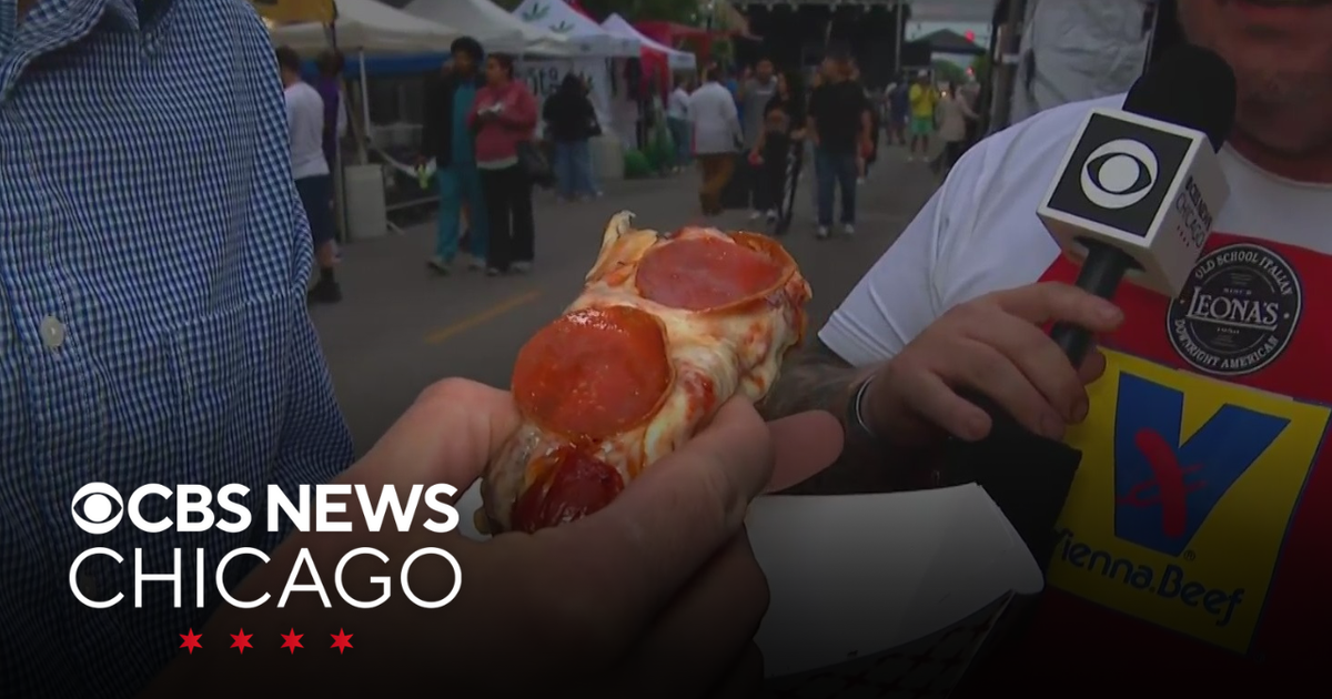 Pizza dog enters the competition at Windy City Hot Dog Fest - CBS Chicago
