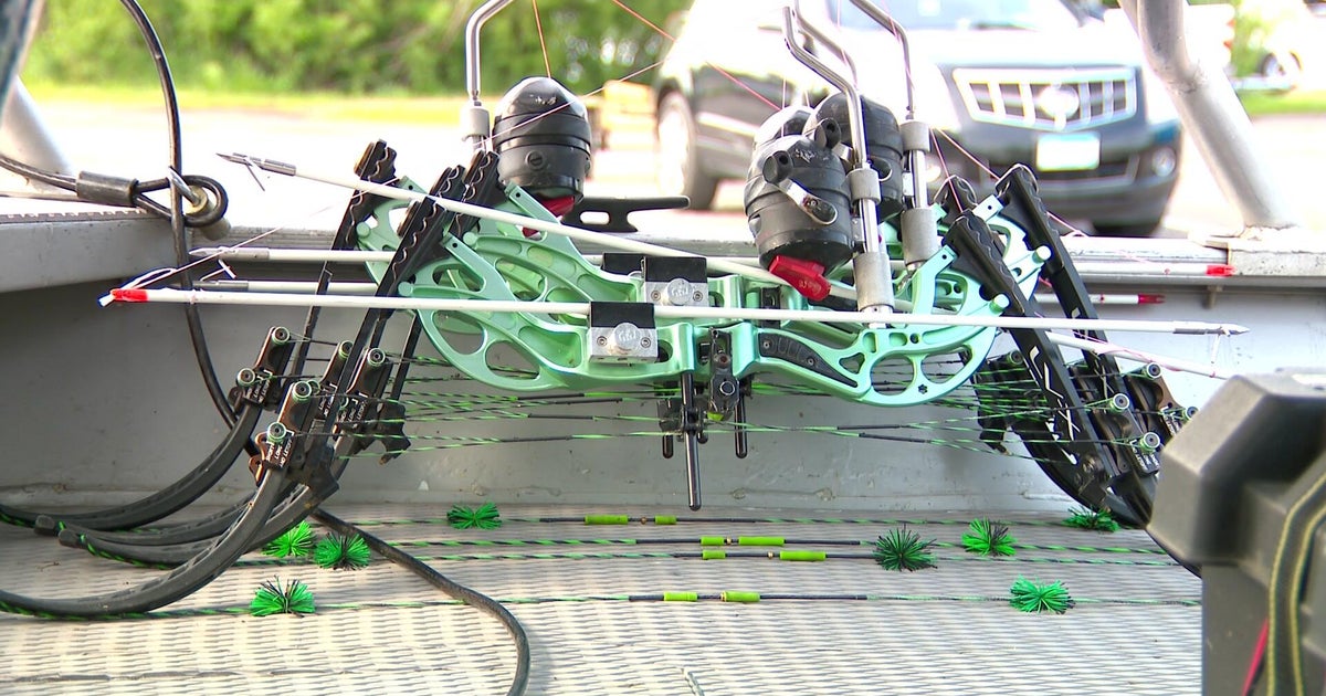 Nighttime bowfishing temporarily allowed on Lake Minnetonka - CBS Minnesota