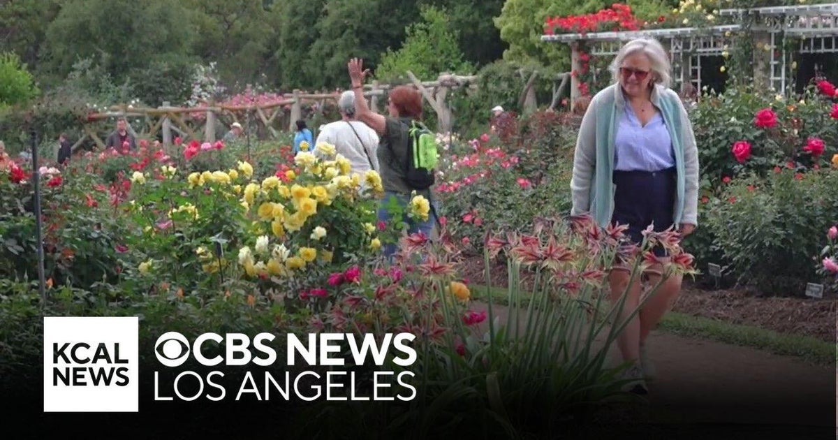 The Huntington Library, Art Museum, and Botanical Gardens | Let's Go ...