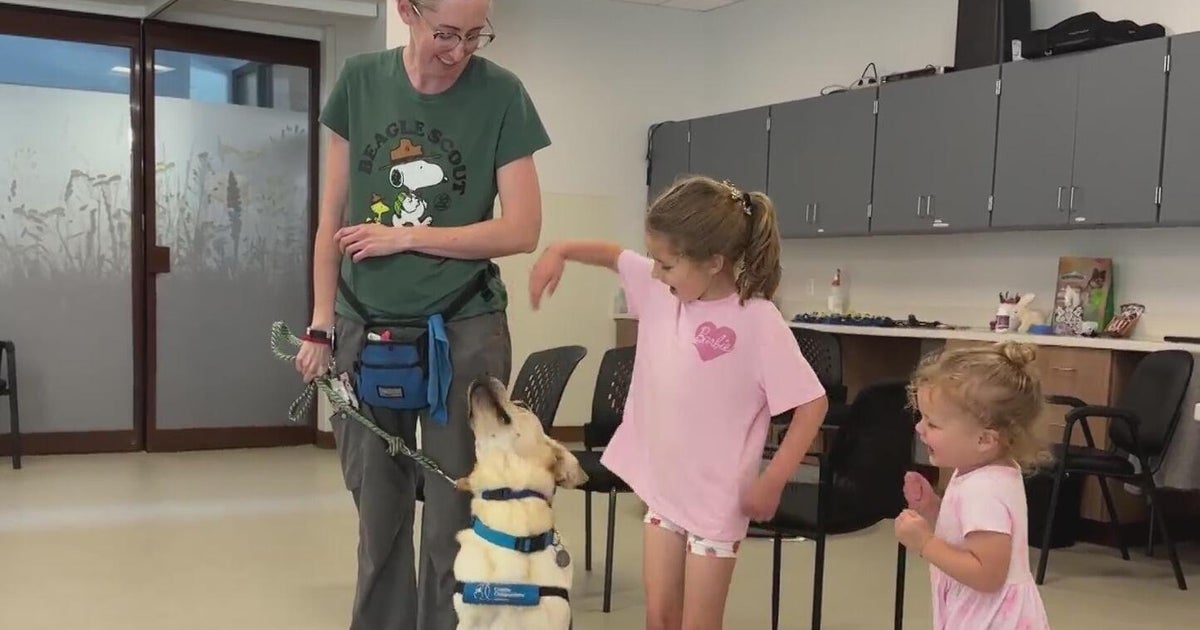 Lonestar gets playtime, trains with small children - CBS Texas