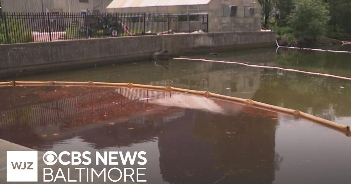 What is the environmental impact of fuel spilling into Baltimore's ...