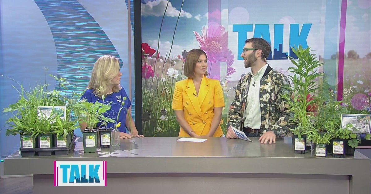 Learning about how native plants support your soil and pollinators like ...