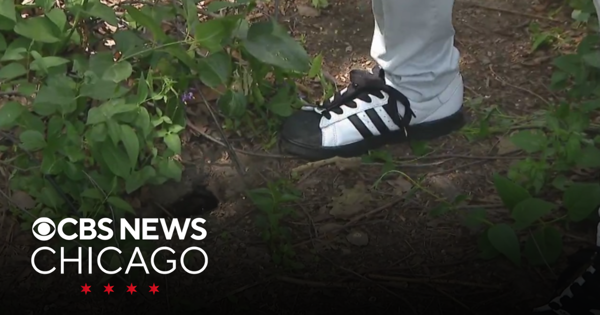Neighbors concerned that rats are taking over park in Chicago's West ...