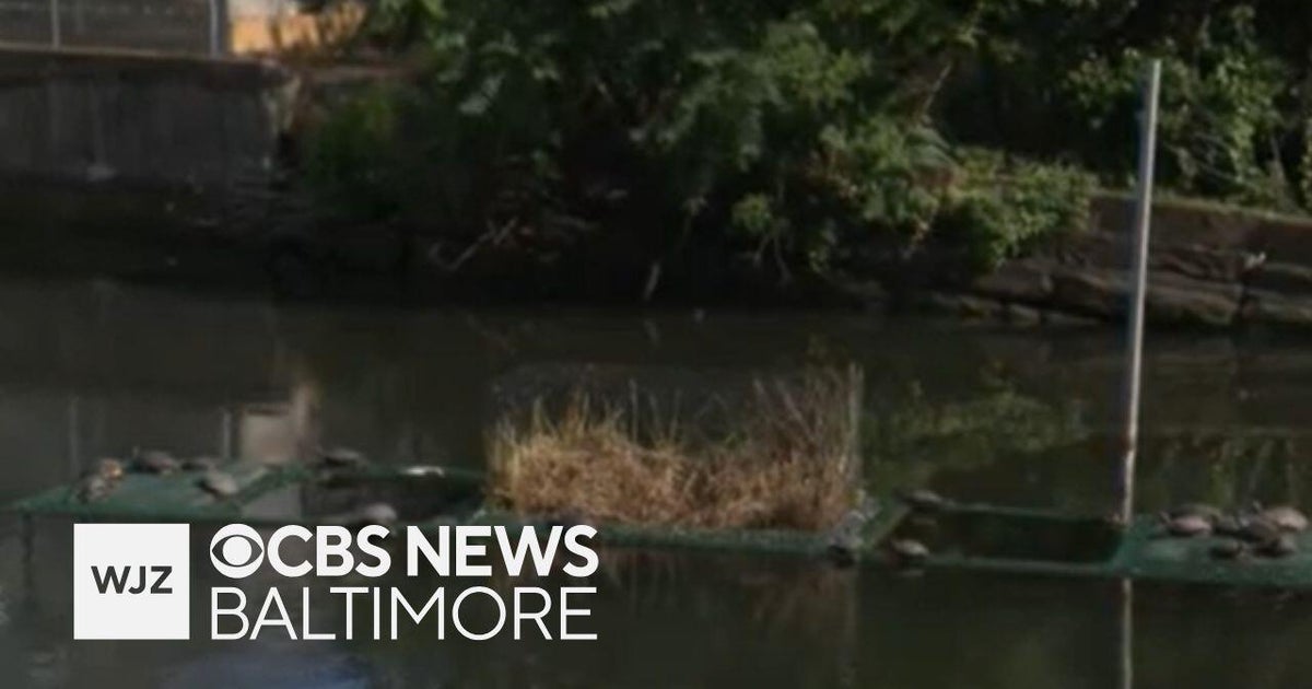 Baltimore's harbor cleanup progressing after 5,000-gallon fuel spill ...