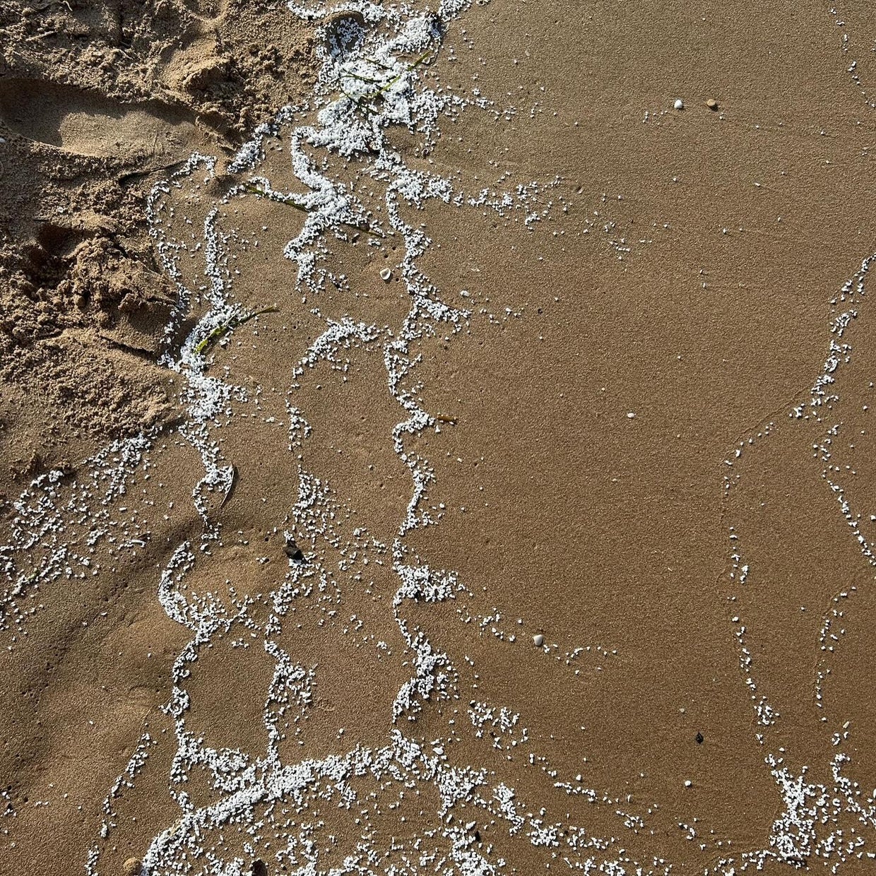 Beaches in Spain's Valencia region closed after "unknown material ...