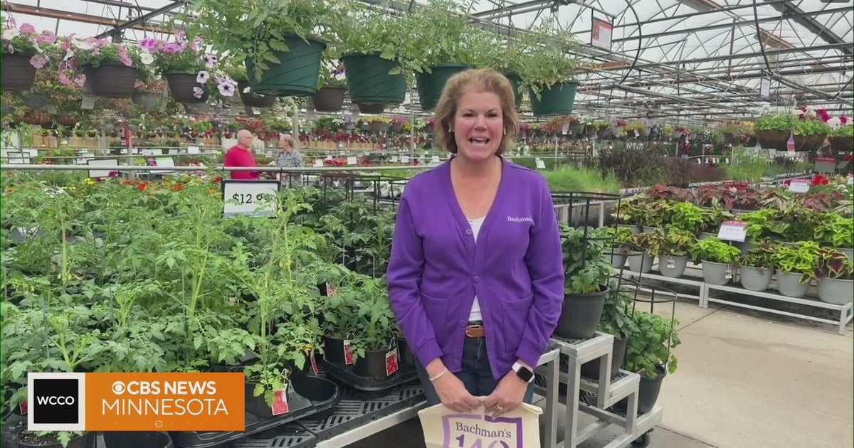 Bachman's marks 140 colorful years of flora, fauna - CBS Minnesota