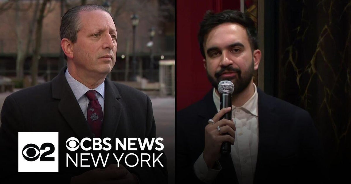 Zohran Mamdani, Brad Lander endorse each other in NYC mayor's race ...