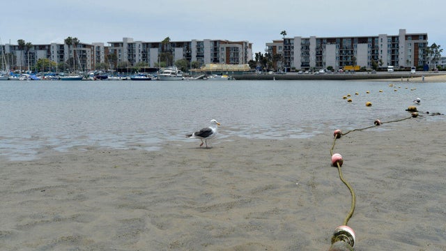 Heal the Bay list of polluted beaches is out and Mothers Beach in Marina del Rey is on it. 