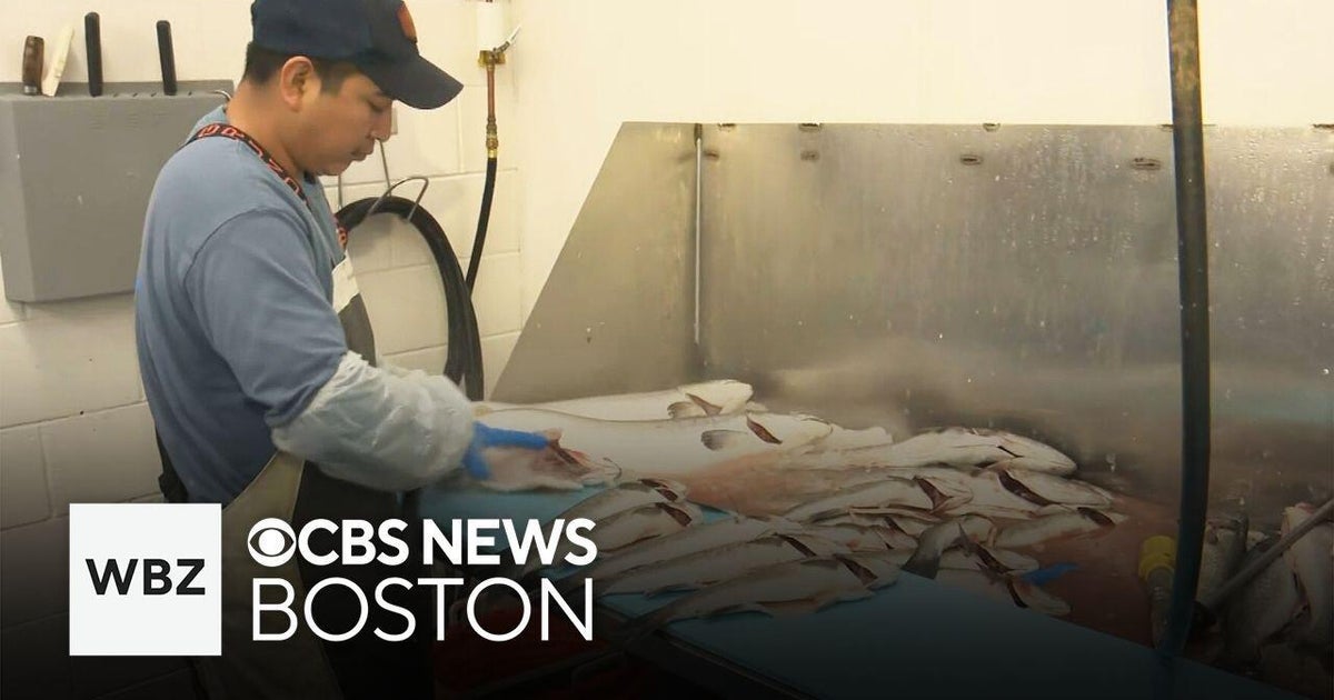 A look behind the scenes at Boston Fish Pier - CBS Boston