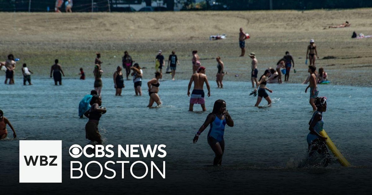 Several Boston beaches earn top scores in water quality report - CBS Boston
