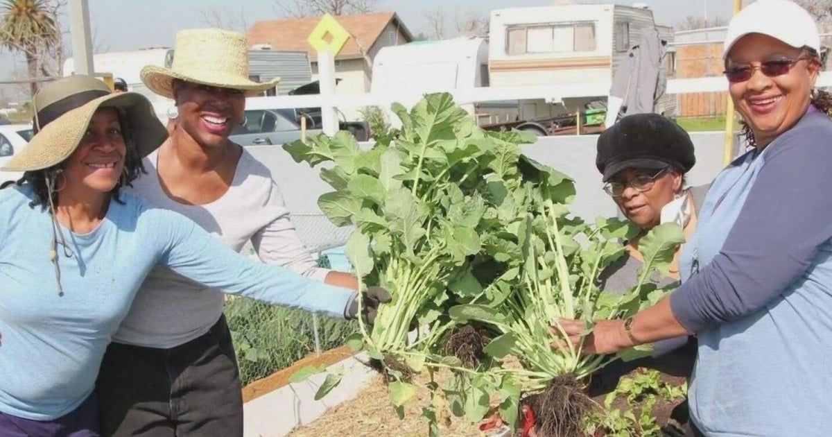 Black Urban Farmers Association in San Joaquin County shares its ...