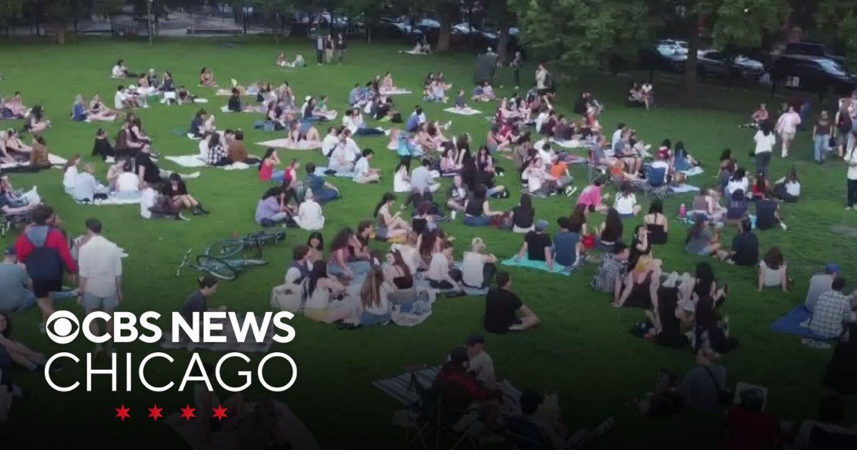 Adult spelling bee held in Chicago's Wicker Park - CBS Chicago