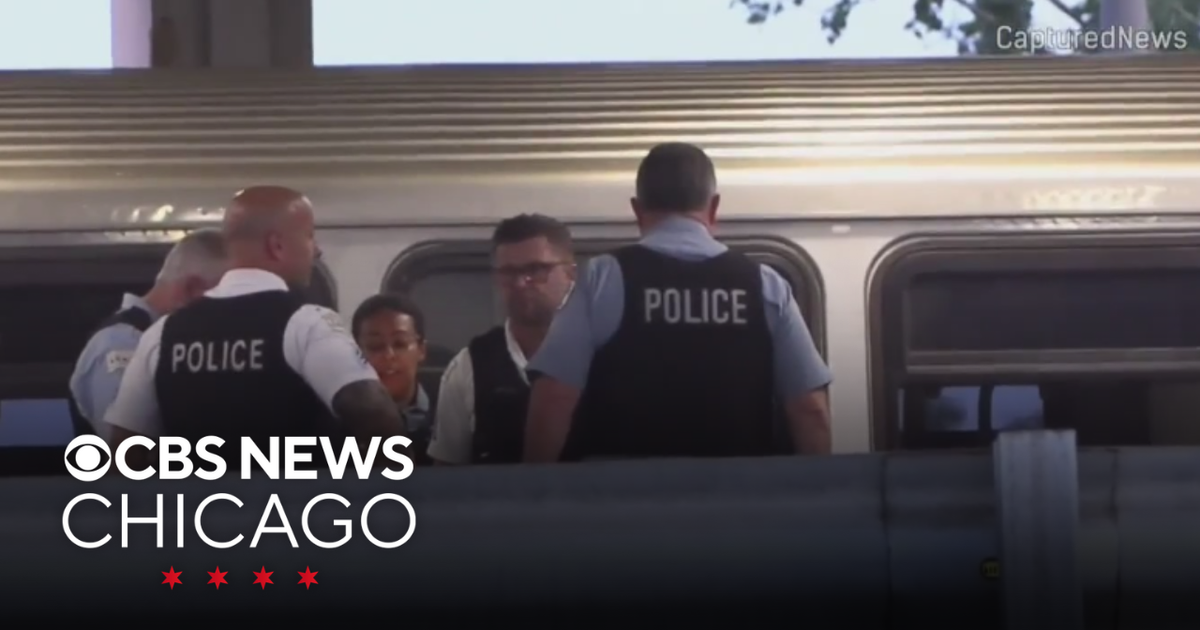 Person stabbed on CTA Blue Line near Rosemont - CBS Chicago