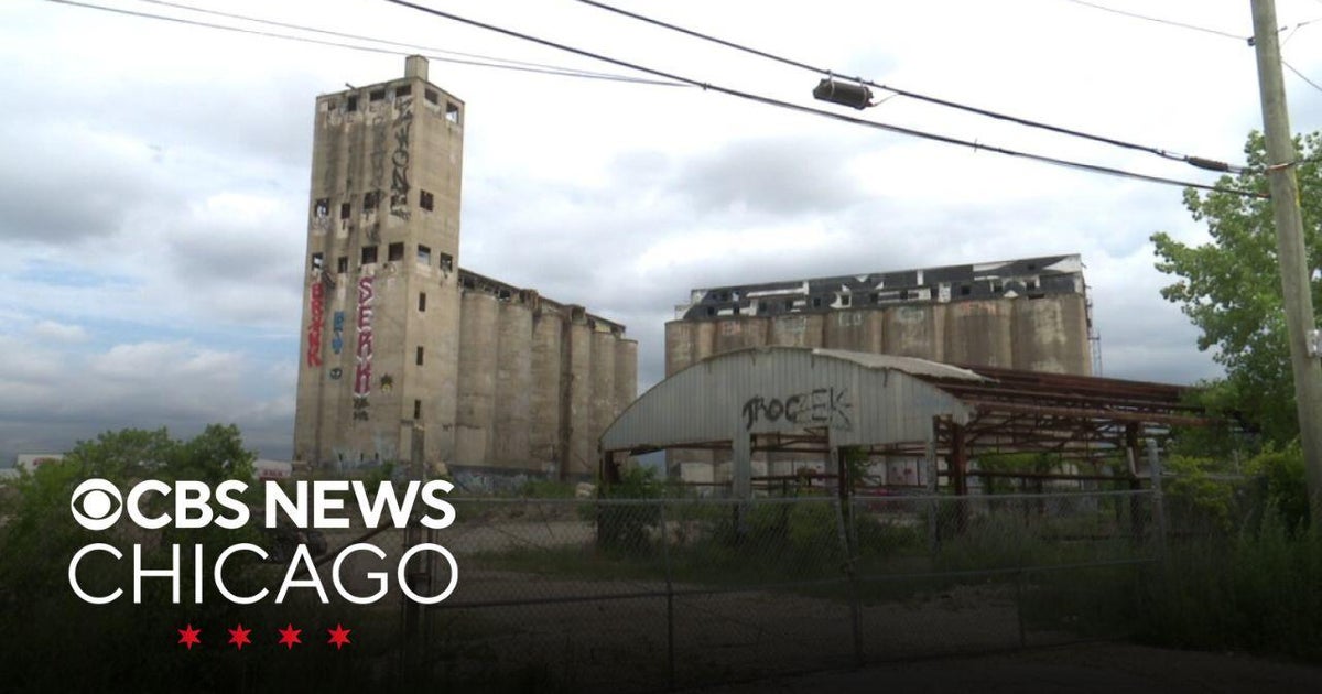 With Damen Silos facing demolition, activists fight to save historic ...