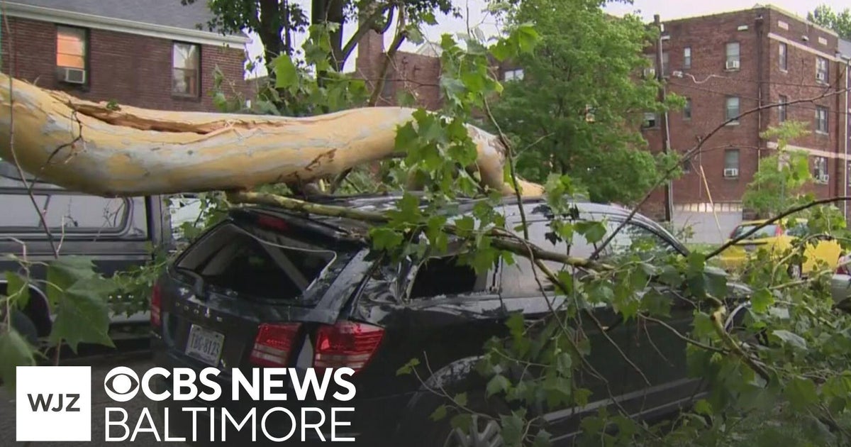 Storm leaves downed trees, power outages in Southeast Baltimore County ...