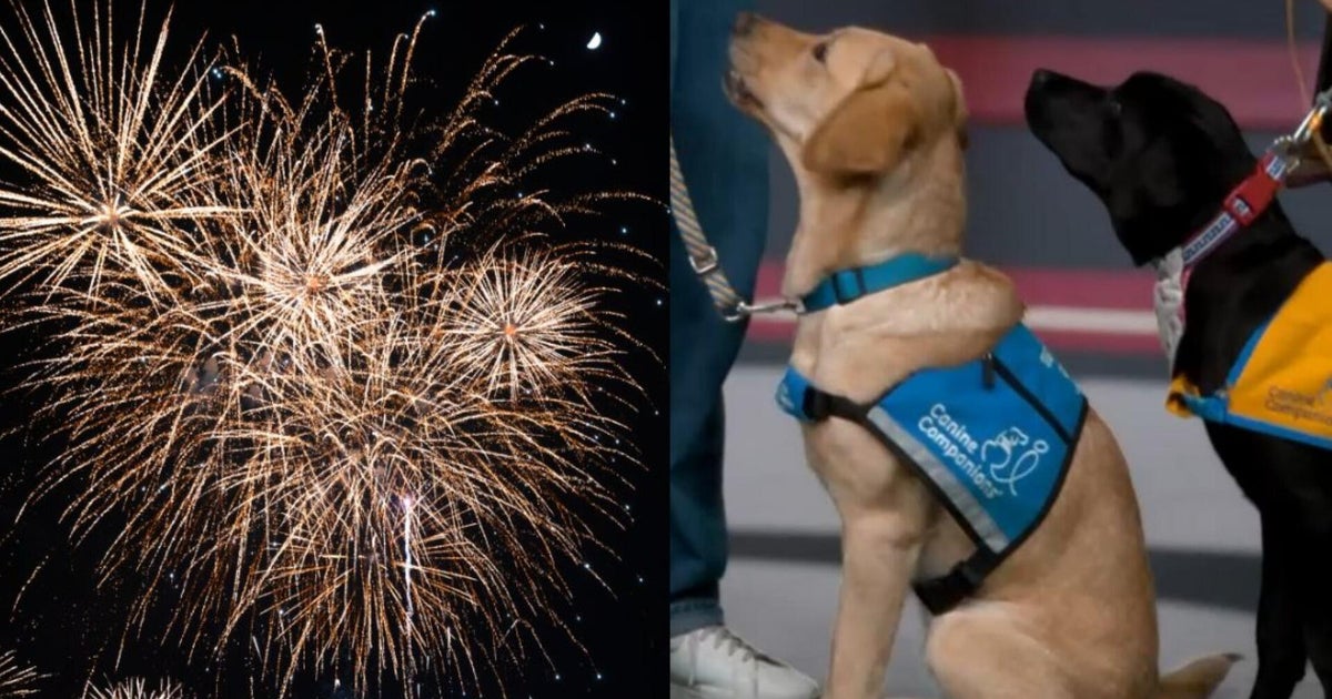 Keeping pets safe, calm on Fourth of July - CBS News