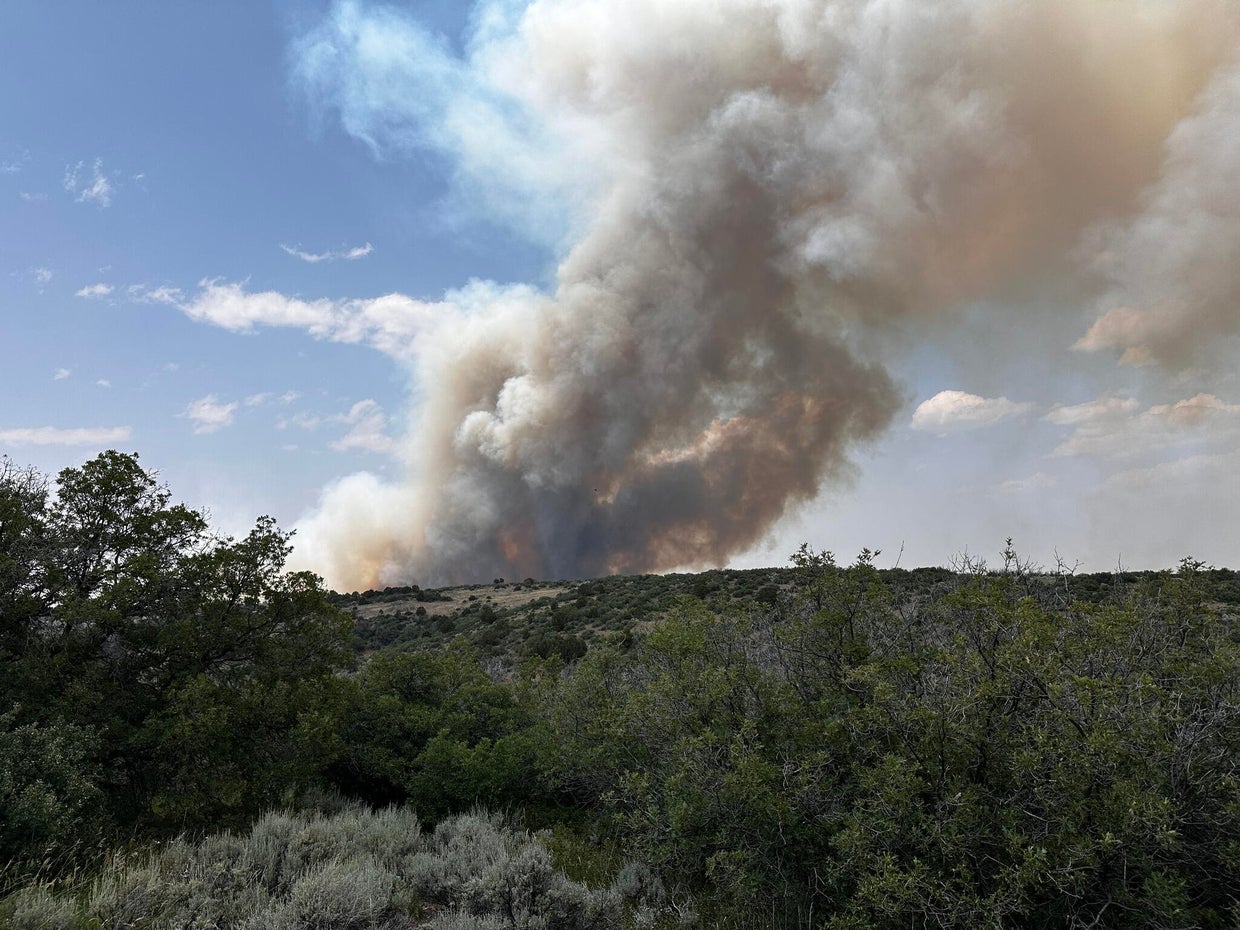 Colorado State Patrol called to help with wildfire evacuation in Black ...
