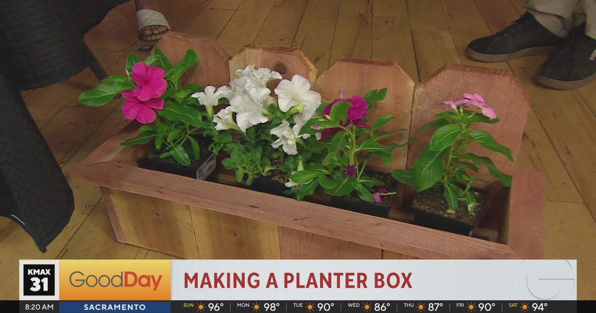 Woodcraft Project - Making a planter Box, 8am - Good Day Sacramento