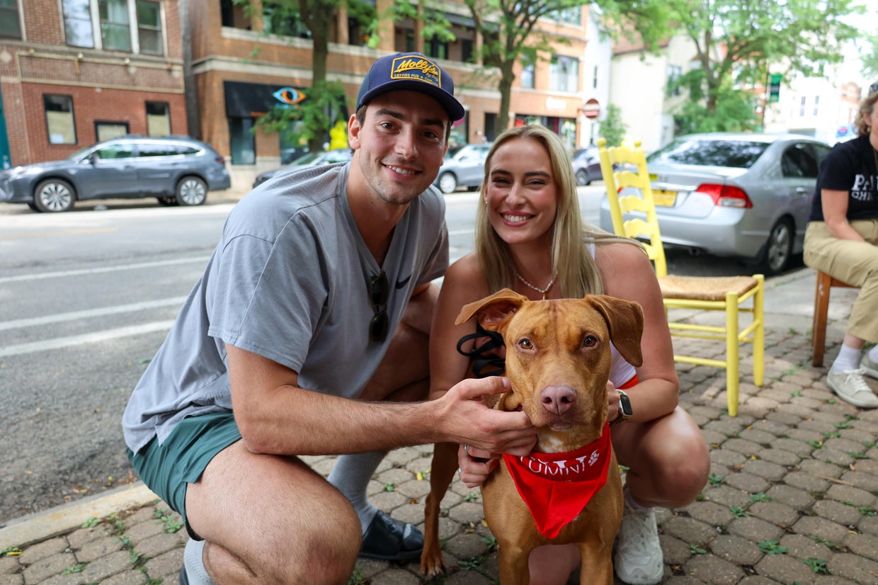 PAWS Chicago hosts adoption event for 50 pets in need of new homes - CBS Chicago