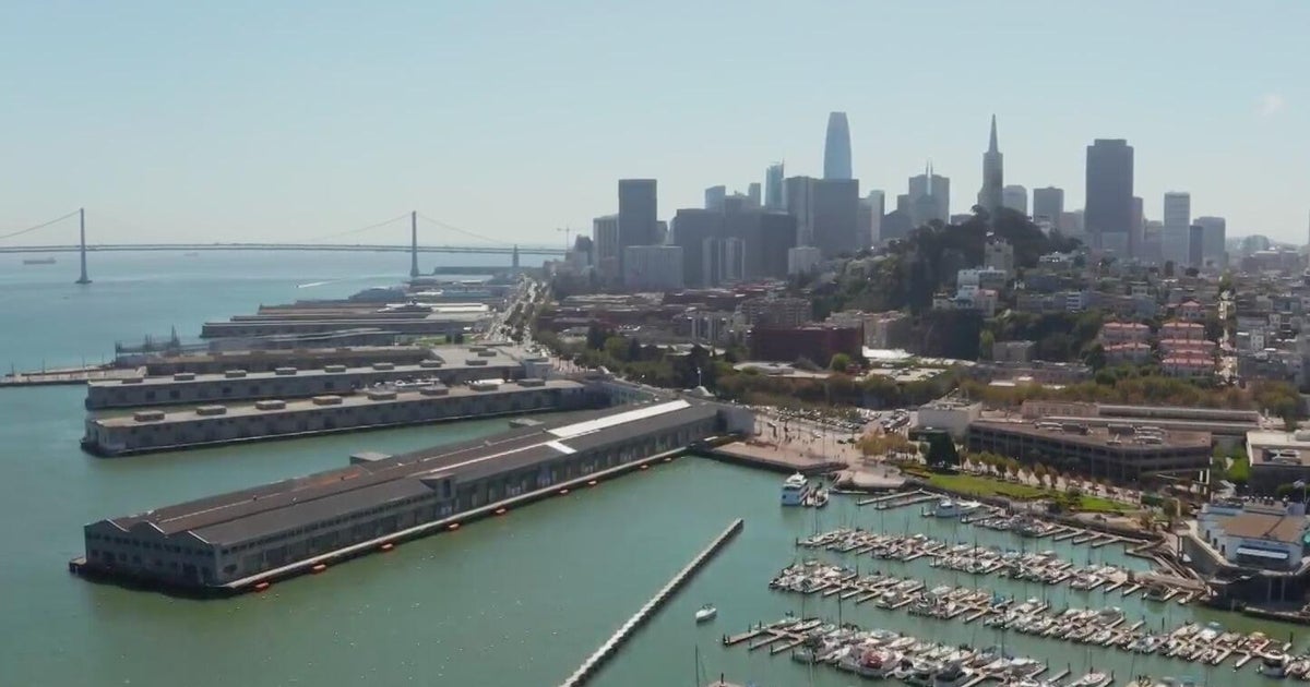San Francisco “living seawall” project sees promising results - CBS San ...