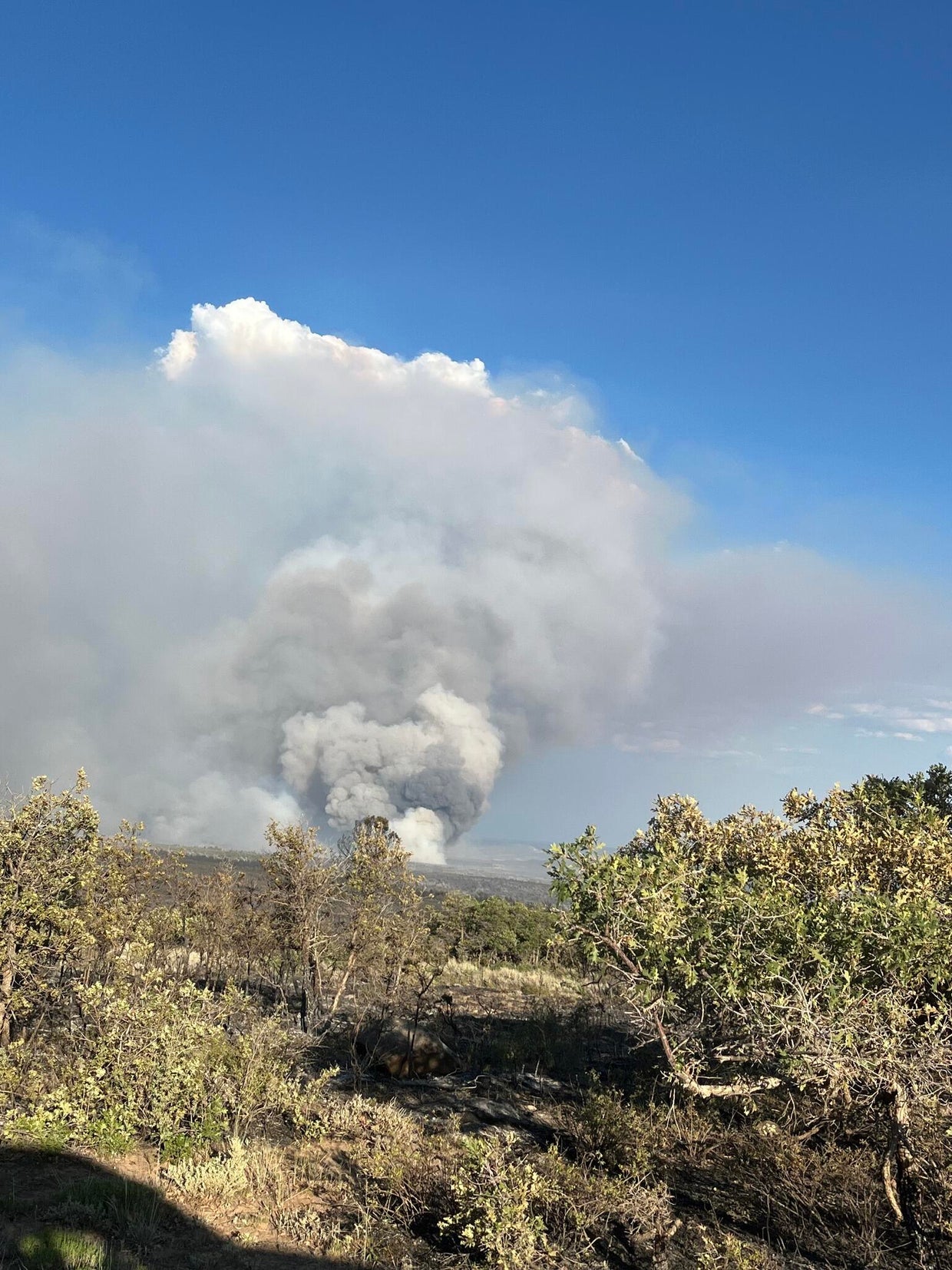 Deer Creek Fire, at almost 13,000 acres, crosses into Colorado from ...
