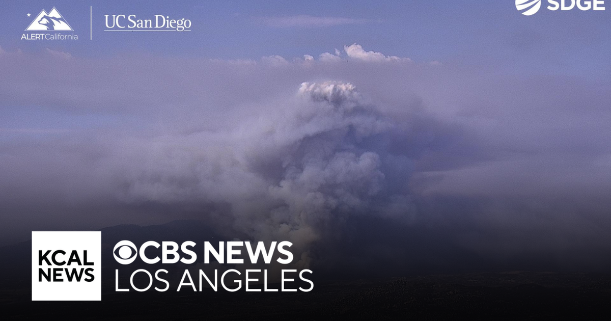 Dale Fire burns 330 acres, forces evacuations near Aguanga in Riverside ...