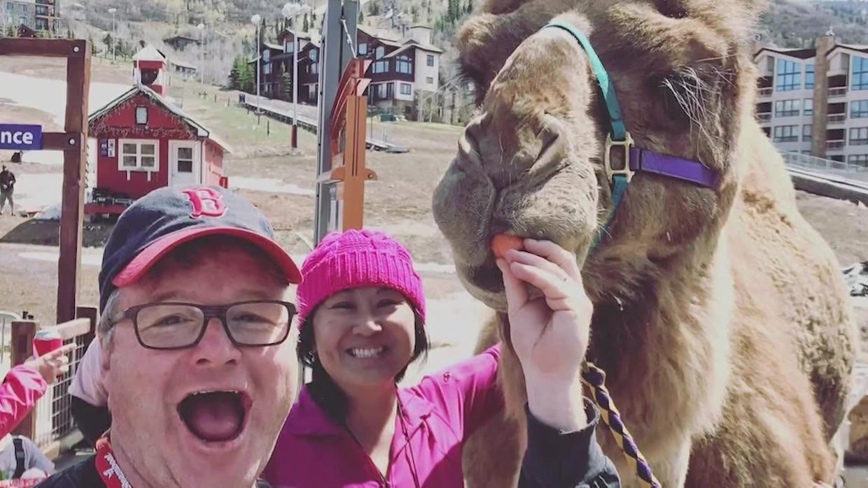 Coloradans remember, honor local celebrity Larry the Camel who was ...