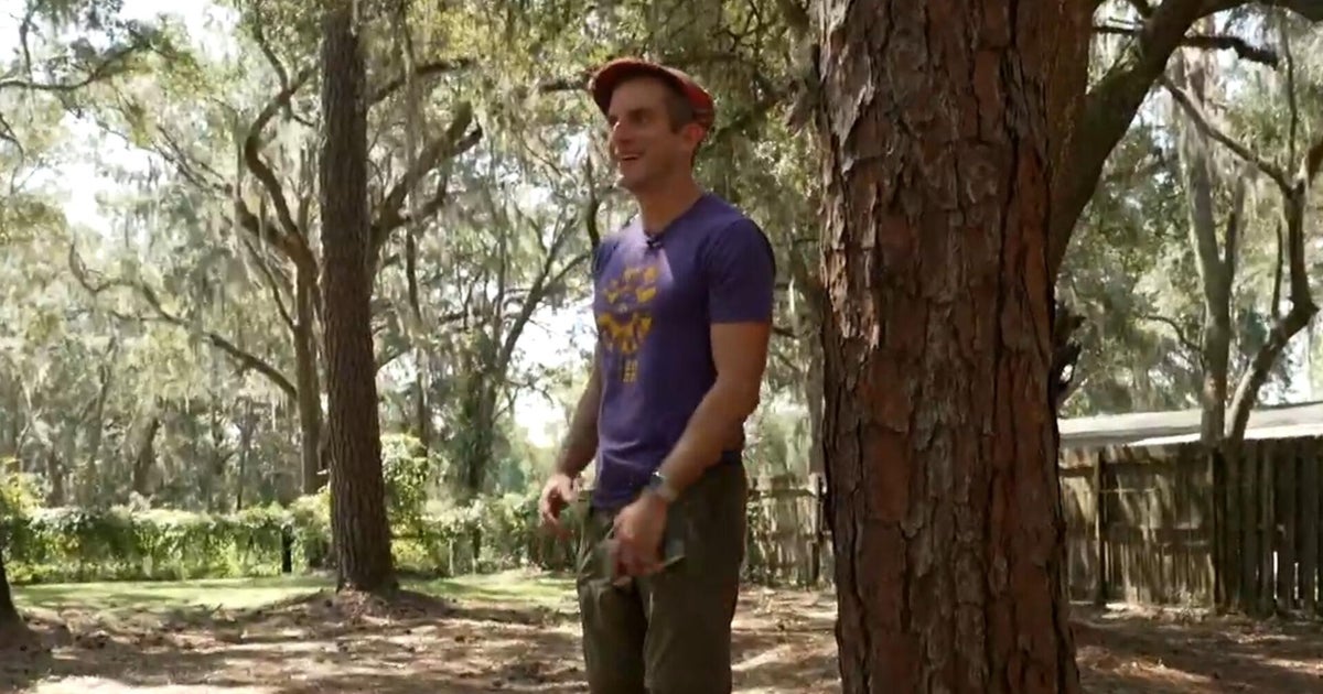 Climber reaches all 67 county high points in flat Florida - CBS News