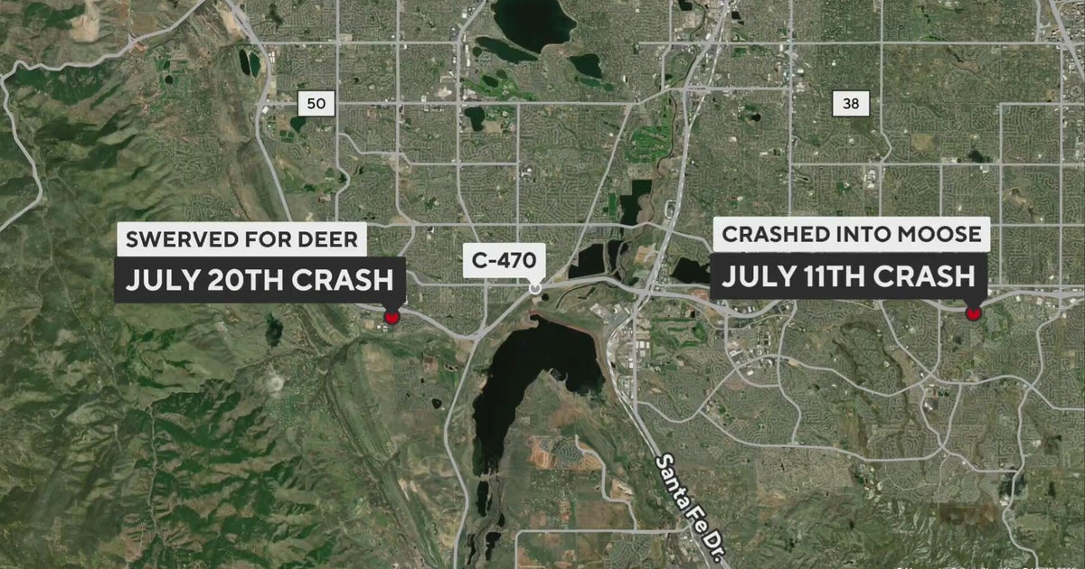 Colorado State Patrol says multiple crashes on C-470 involve wildlife ...