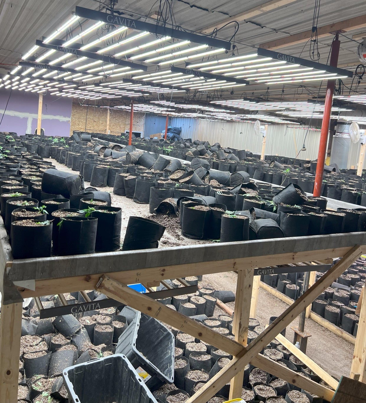 Michigan State Police seize over $10 million worth of marijuana at ...