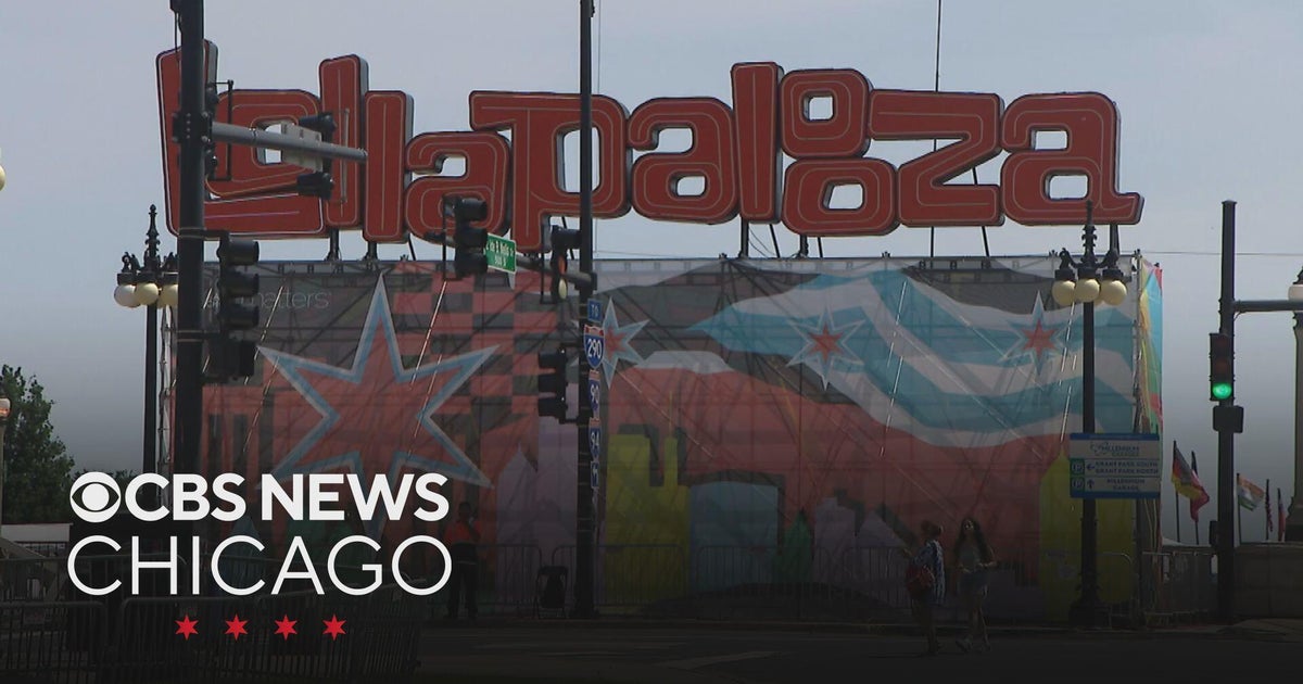 Lollapalooza 2025 kicks off in Grant Park with Tyler the Creator ...