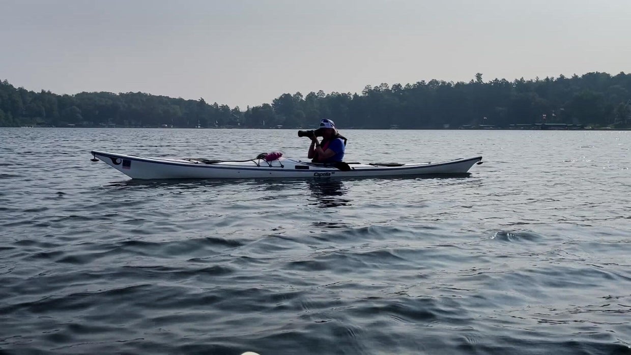 The "Loon Lady" on a mission to protect Minnesota's state bird: "We ...