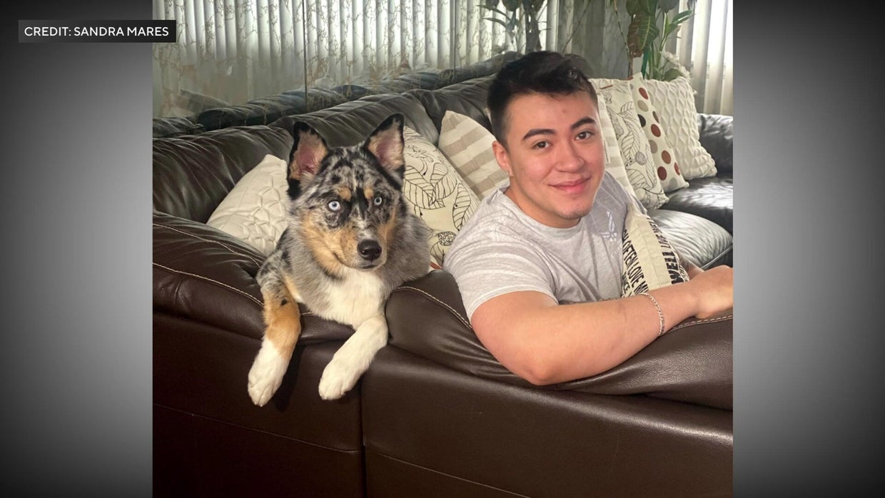 Queens family wants justice after son killed in stray bullet shooting ...