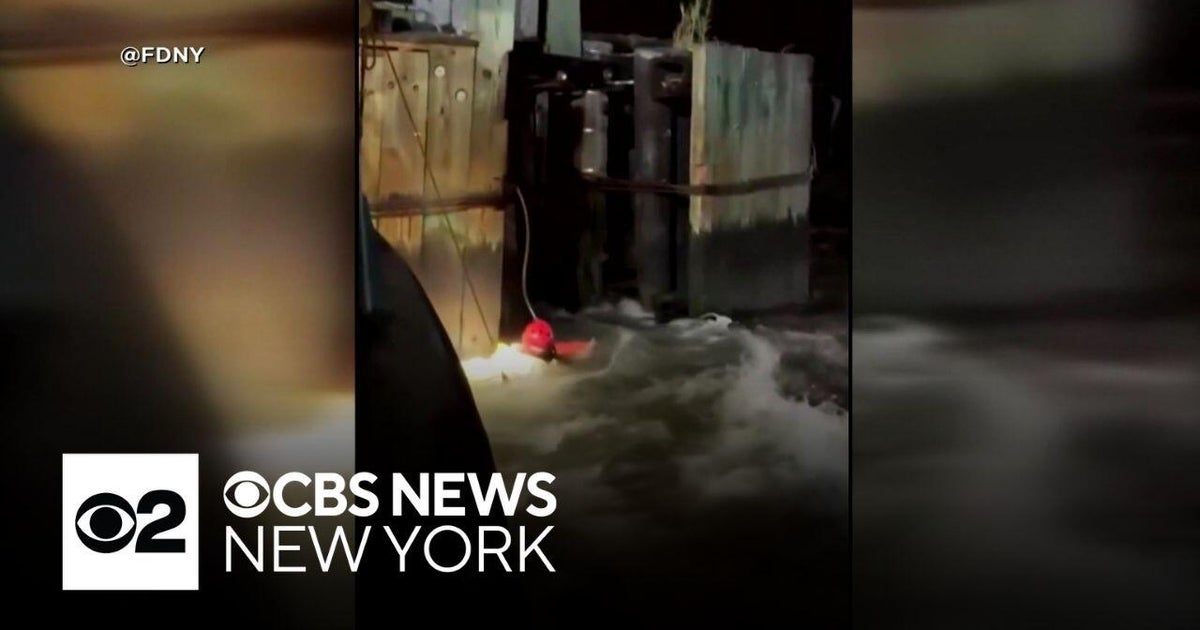 Video shows dramatic water rescue off Roosevelt Island - CBS New York