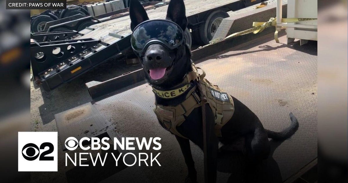 Military dog reunites with handler at retirement party in New York ...