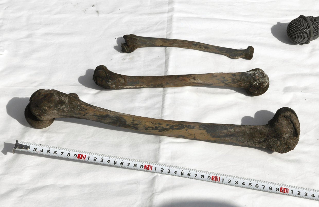 Bones, skull found by divers at undersea mine in Japan where over 100 ...