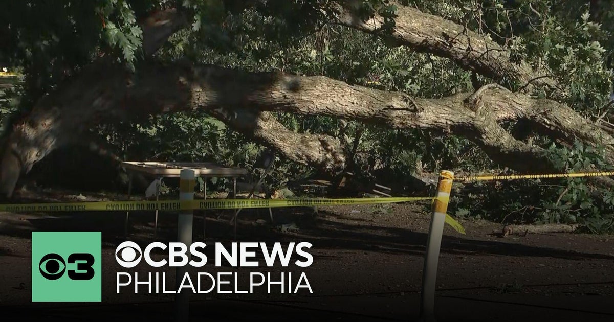 4 injured after tree falls in Philadelphia's Fairmount Park, police say ...