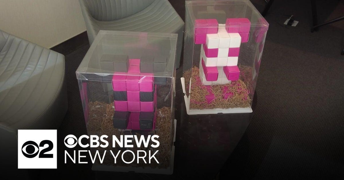 Manhattan teen raises money for breast cancer research through origami ...