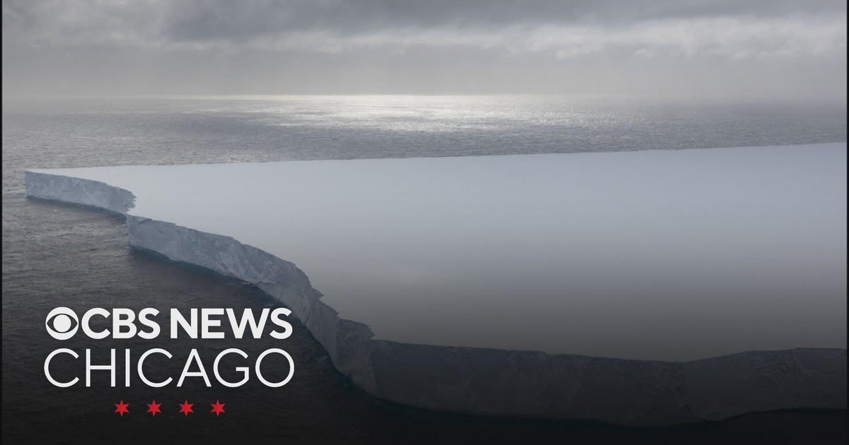 World's biggest iceberg breaks up after 40 years - CBS Chicago