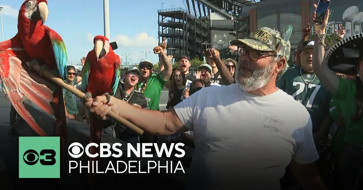 Go Birds! Fans tailgating at the Lincoln Financial Field ahead of ...