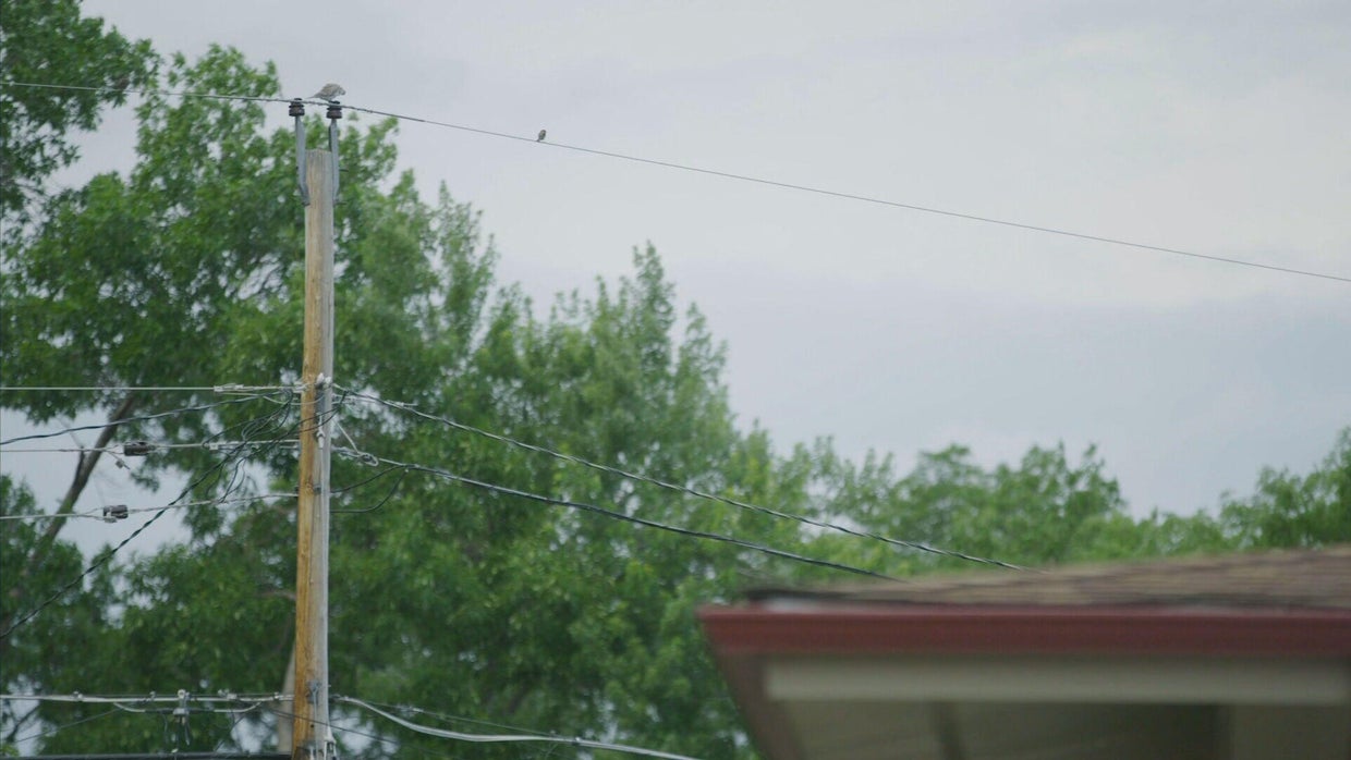 Colorado neighborhood hit with another Xcel Energy outage - CBS Colorado