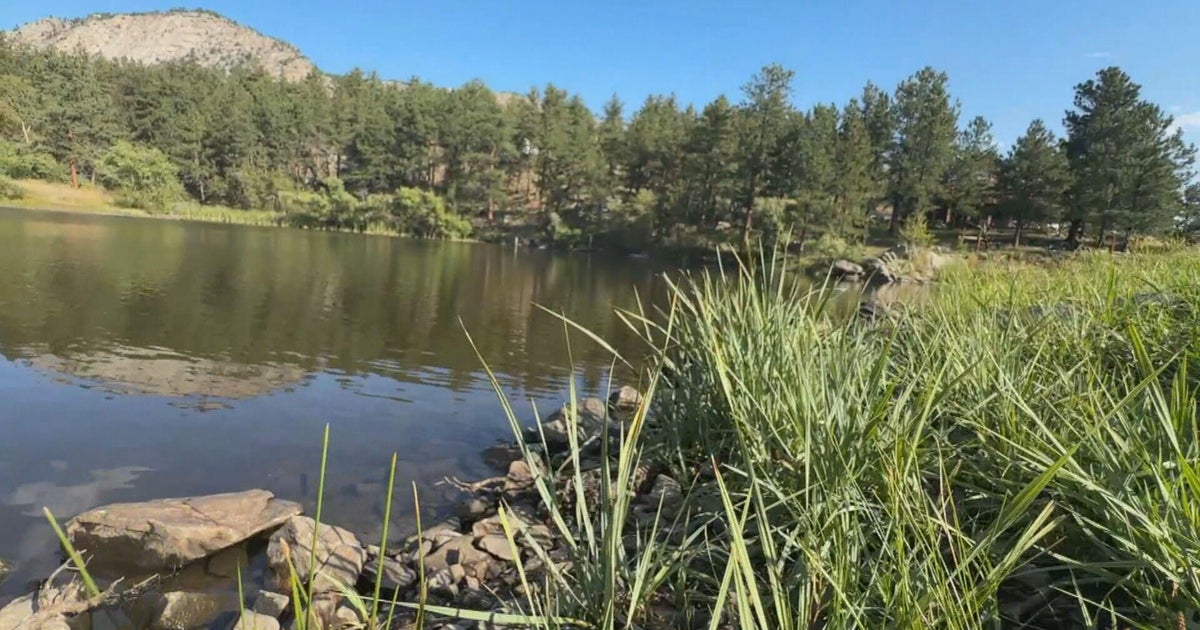 Colorado community affected by Alexander Mountain Fire works to keep ...