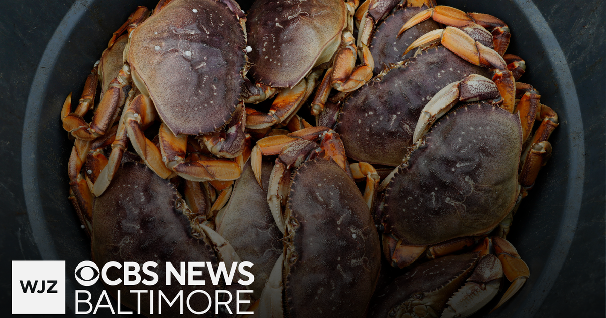 Maryland seafood industry’s requested tariff missing from President ...