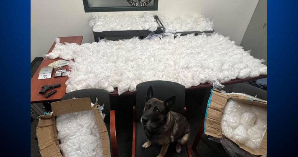 Bay Area drug bust nets 500 pounds of methamphetamine, deputies say; 2 ...