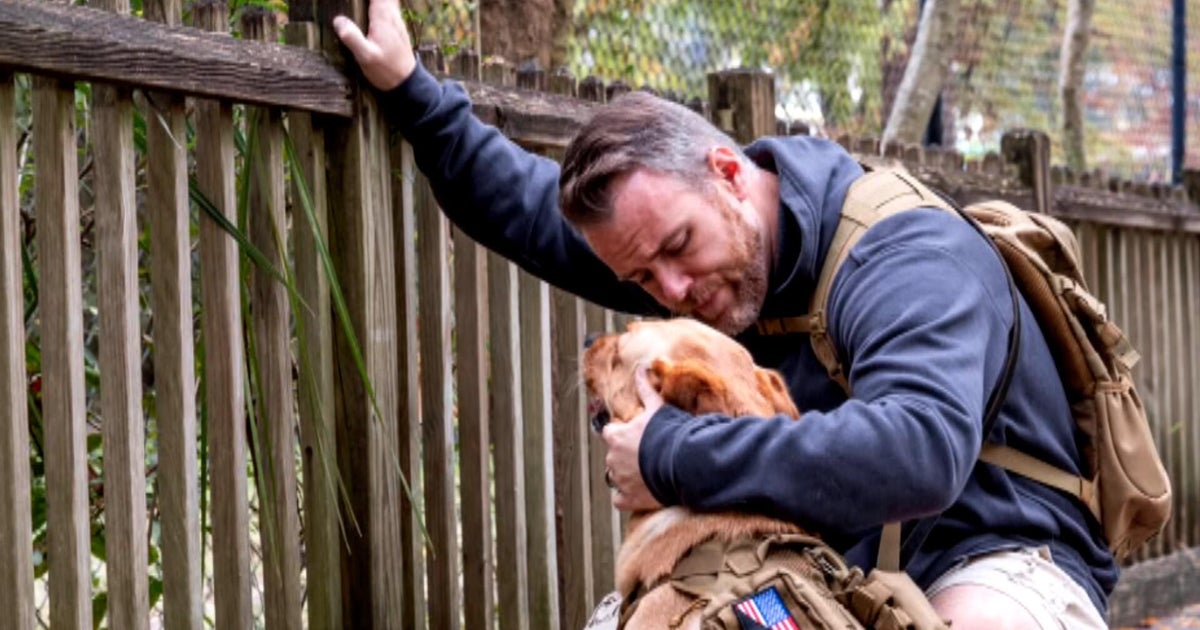 How a service dog is helping this New Jersey Air Force veteran with ...