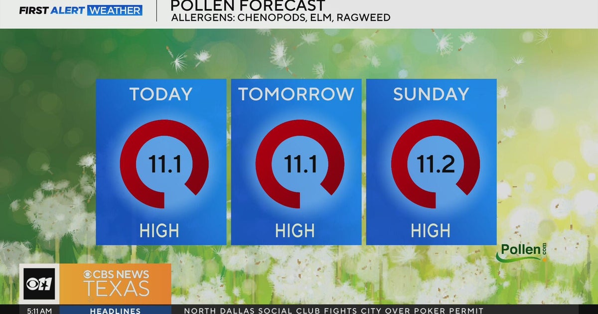 What's going around? High pollen in North Texas leading to symptoms for ...